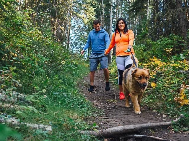 Pipestone Creek Campground | County of Grande Prairie