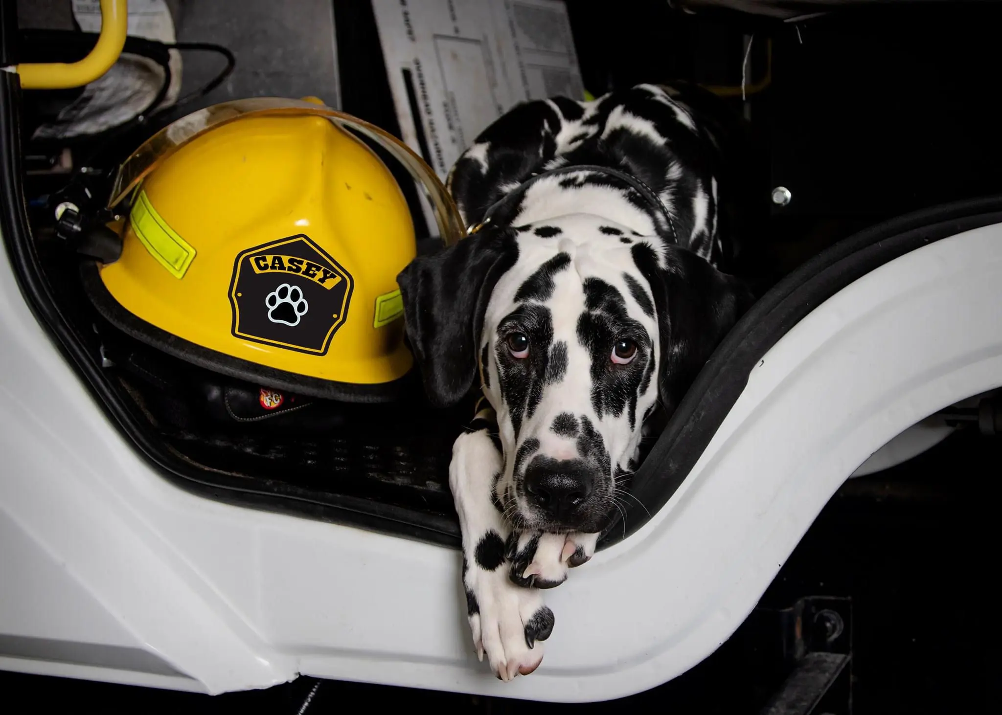 Fire Stations | County of Grande Prairie