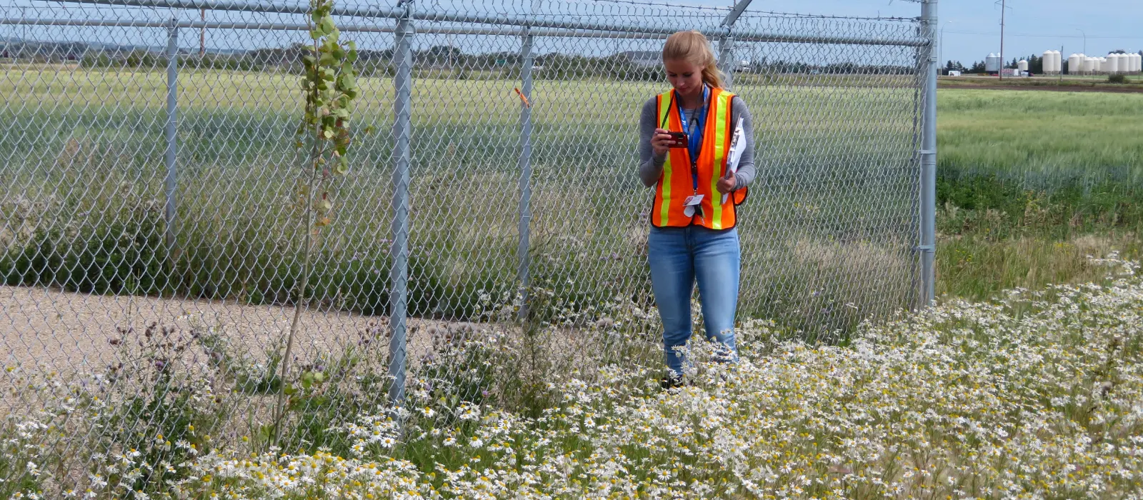 Weed Inspection | County of Grande Prairie